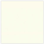 Square Bone | Adex USA