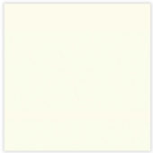 Square Bone | Adex USA