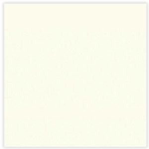 Square Bone | Adex USA