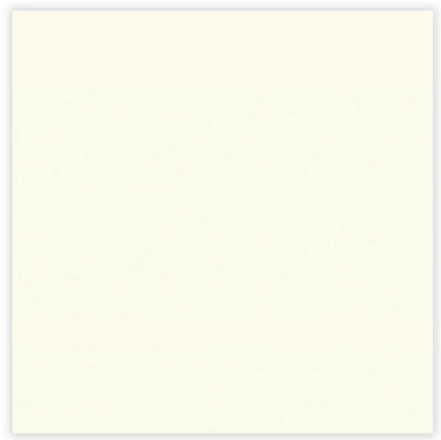 Square Bone | Adex USA