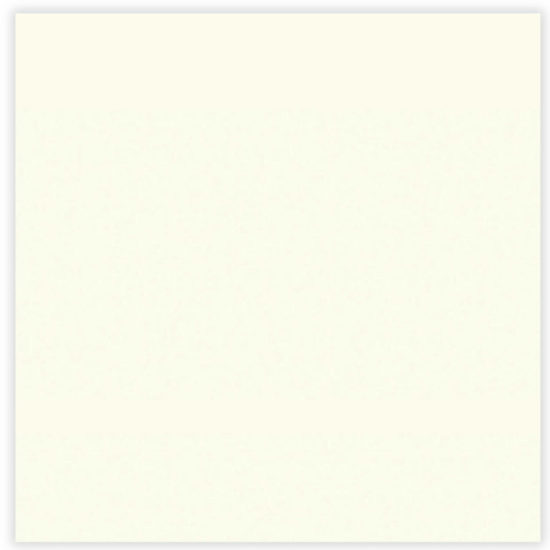 Square Bone | Adex USA