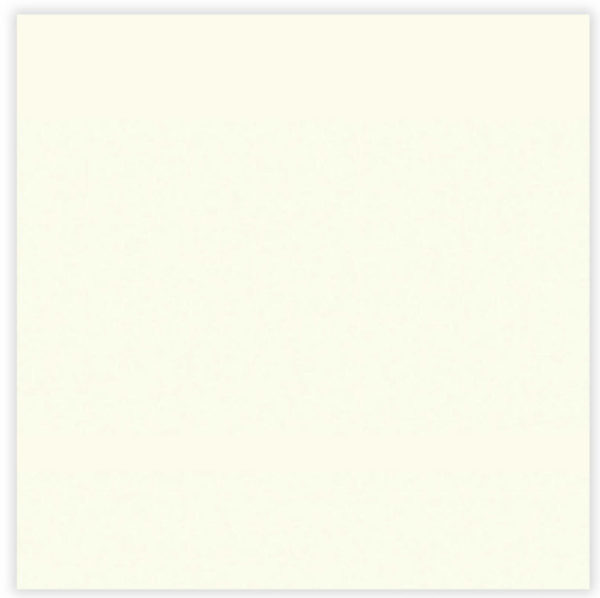 Square Bone | Adex USA