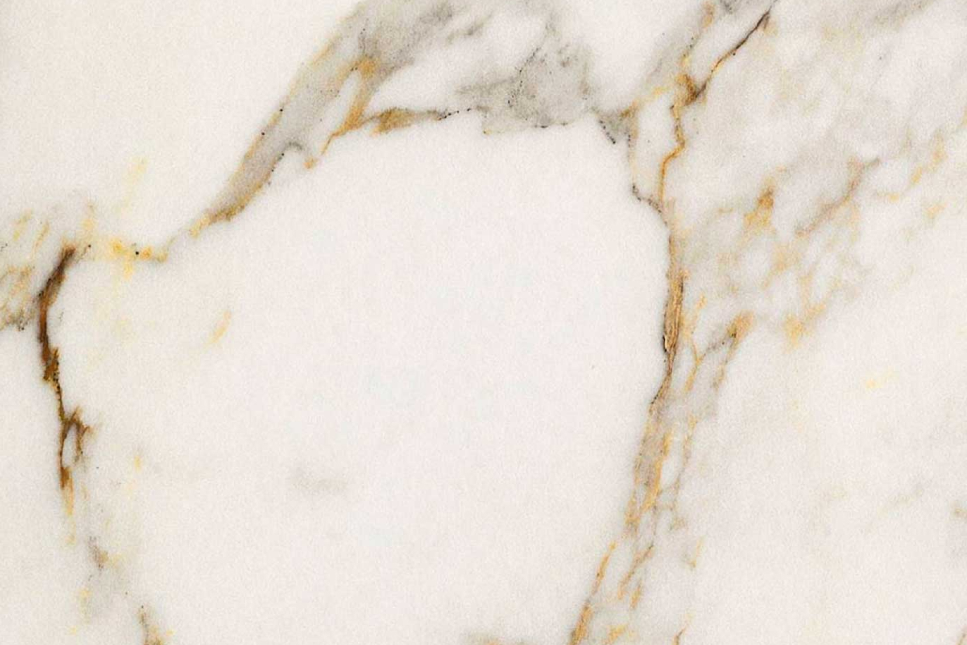 Calacatta Gold | Adex USA